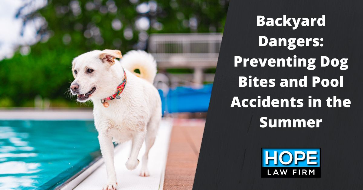 Backyard Dangers: Preventing Dog Bites and Pool Accidents in the Summer